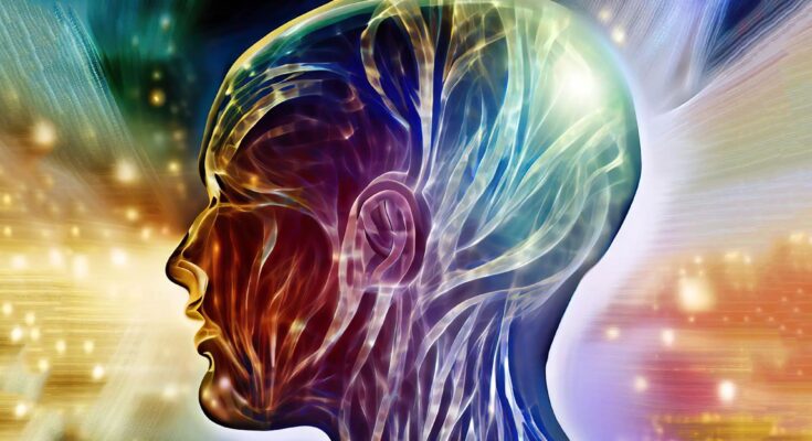 Lanzamiento de la Nueva Referencia del Pangenoma Humano | Biología bls ...