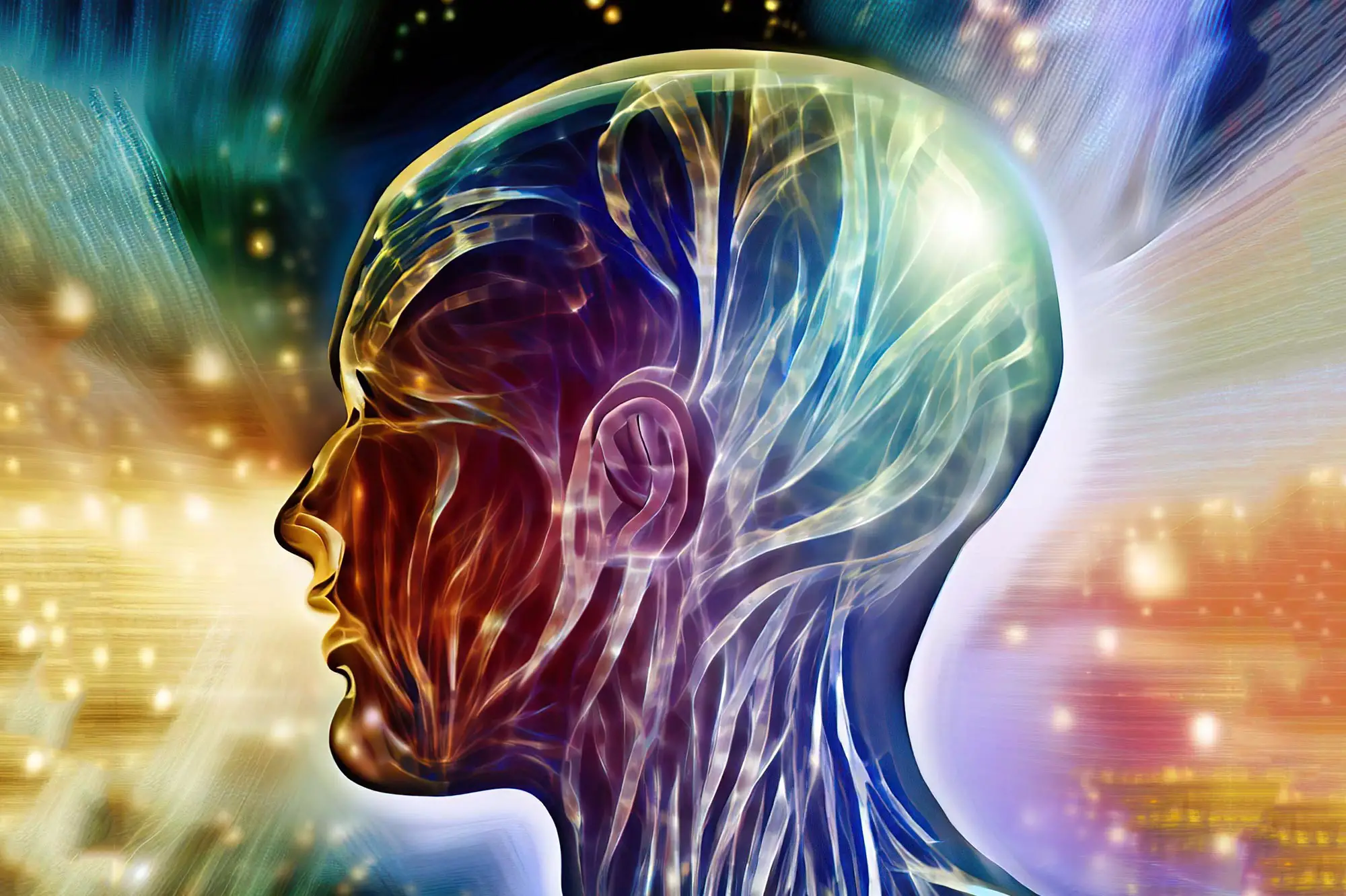 Lanzamiento de la Nueva Referencia del Pangenoma Humano | Biología bls ...